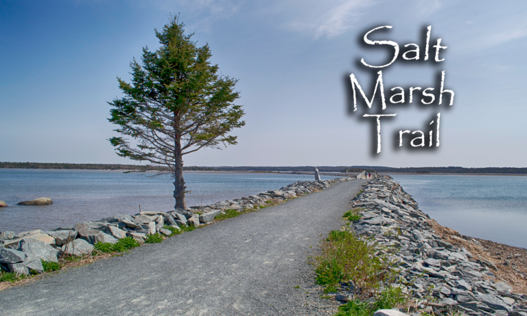 Photos: The Salt Marsh Trail - Cole Harbour, Nova Scotia | HalifaxTrails.ca