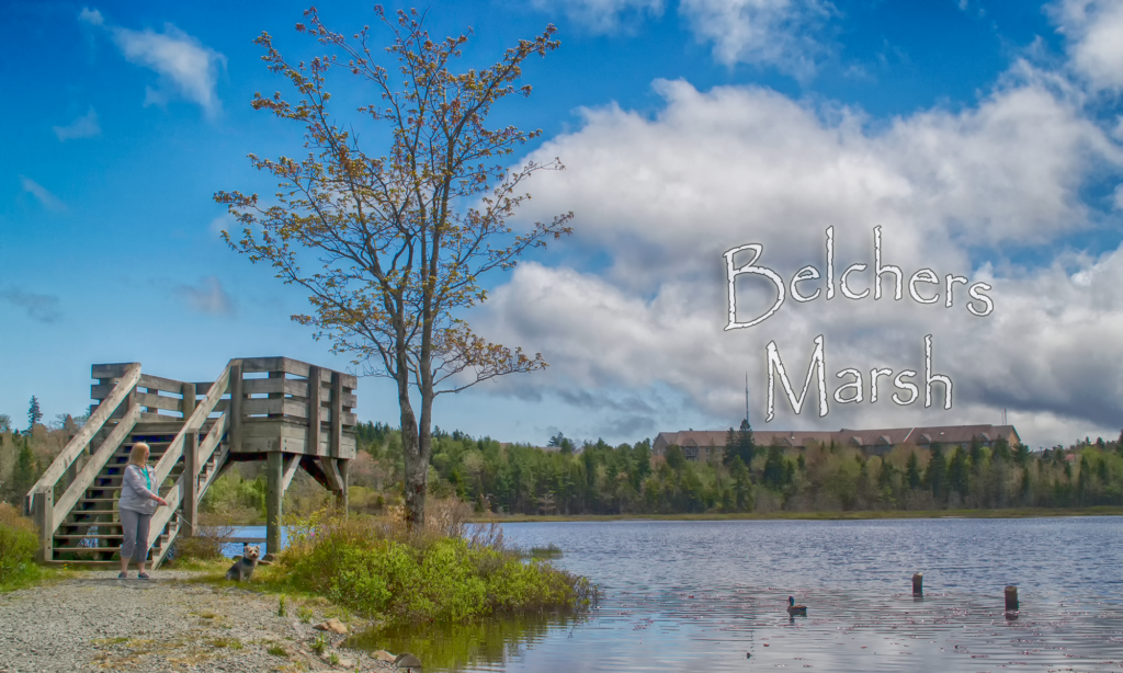 Photos: Belcher's Marsh Park - Halifax, Nova Scotia | HalifaxTrails.ca
