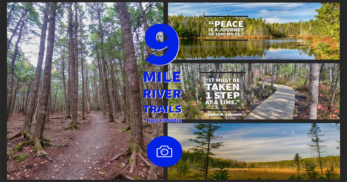 Photos: Nine Mile River Hiking Trails - Nova Scotia | HalifaxTrails.ca